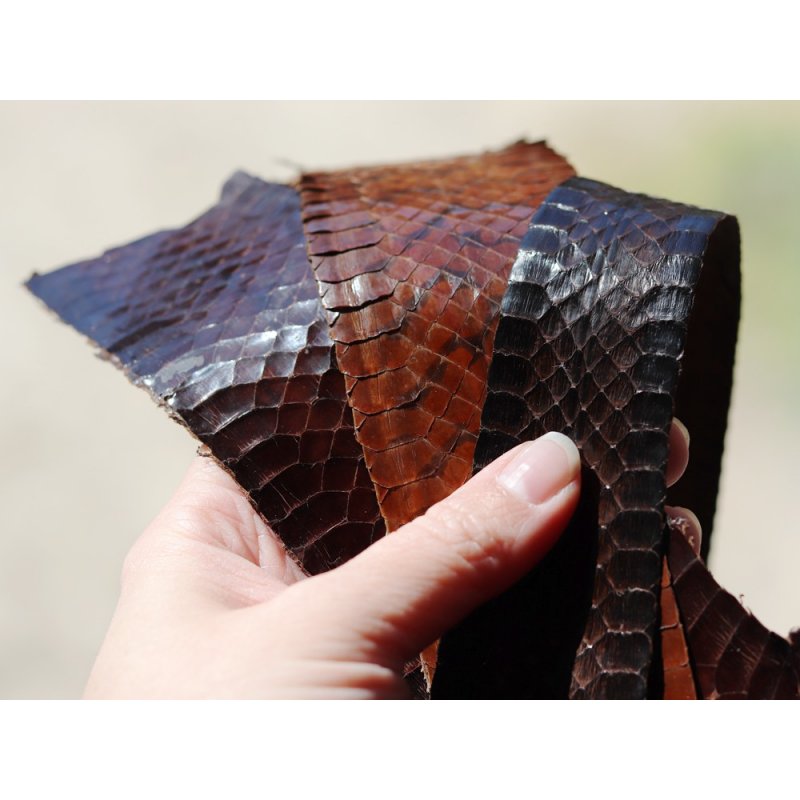 3 morceaux de peau de serpent brun